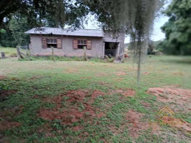 Sítio / Chácara para Venda em Viamão/RS Santa Isabel 3 Quartos