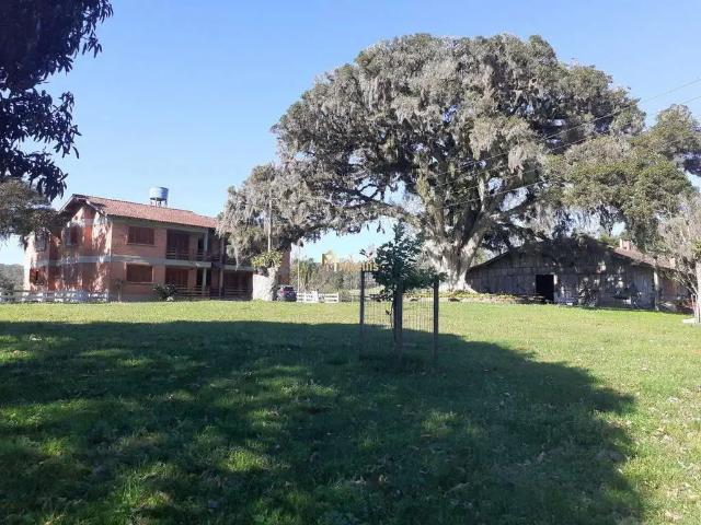 Sítio / Chácara para Venda em Viamão/RS Vila Elsa 16 Quartos