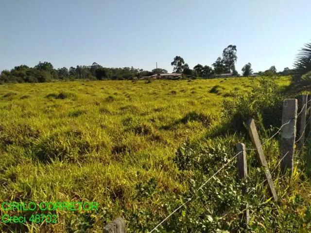 Sítio / Chácara para Venda em Viamão/RS Zona Rural