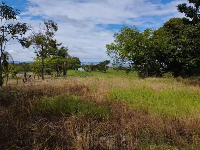 Sítio / Chácara para Venda em Vianópolis/GO Setor Central