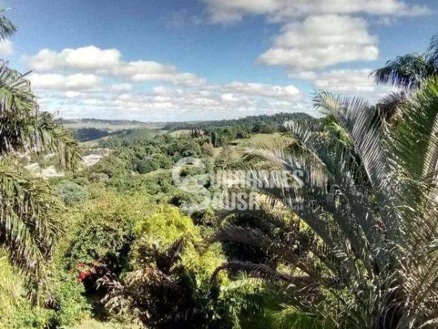 Sítio / Chácara para Venda em Vinhedo/SP Jardim Florido 4 Quartos