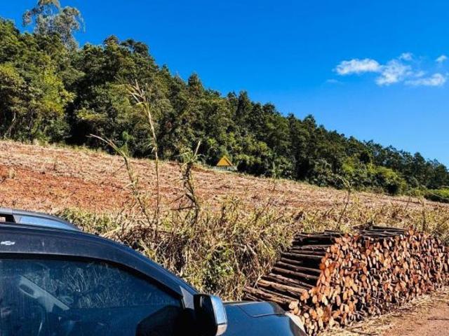 Sítio / Chácara para Venda no bairro Linha Quatro Cantos em Morro Reuter