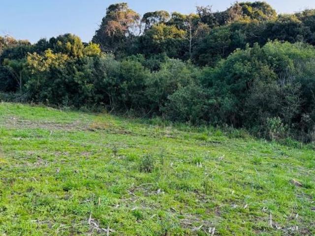 Sítio / Chácara para Venda no bairro Padre Eterno Ilges em Santa Maria do Herval