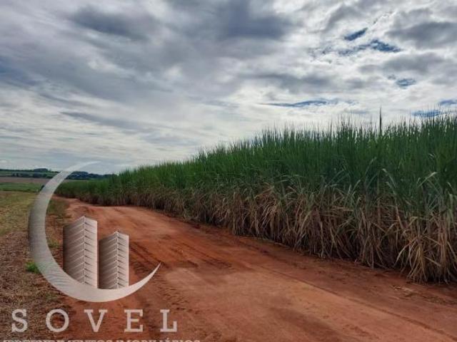 Sítio / Chácara para Venda, Zona rural de Ipeuna, 2 dormitórios