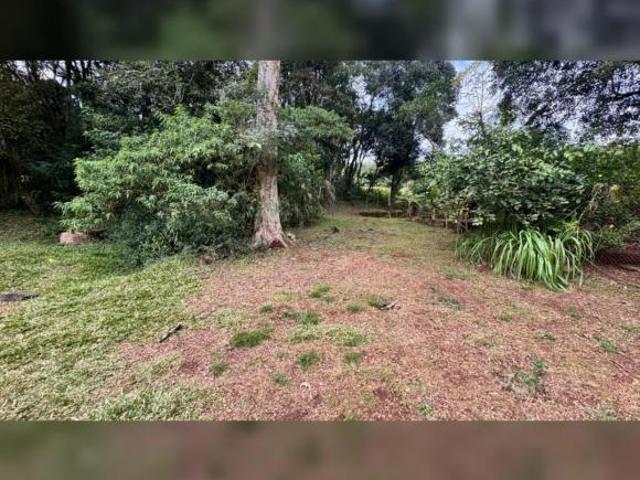 Sítio / Chácara 2 quartos para Venda no bairro Travessão em Dois Irmãos