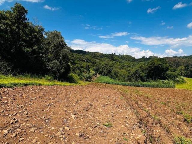 Sítio / Chácara 2 quartos para Venda no bairro Alto Padre Eterno em Santa Maria do Herval