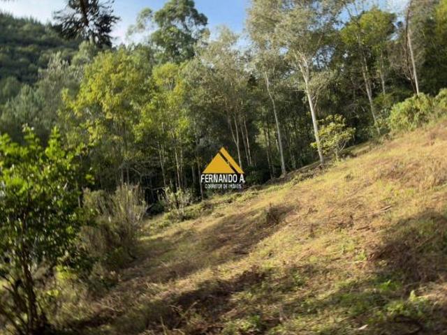 Sítio / Chácara 3 quartos para Venda no bairro Zona Rural em Gramado