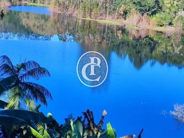 ​Sítio com 3,8 alqueires, água abundante e vista em Paraibuna