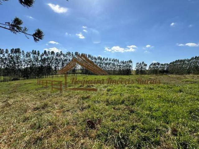 Sitio com 3,8 hectares em Porangaba/SP