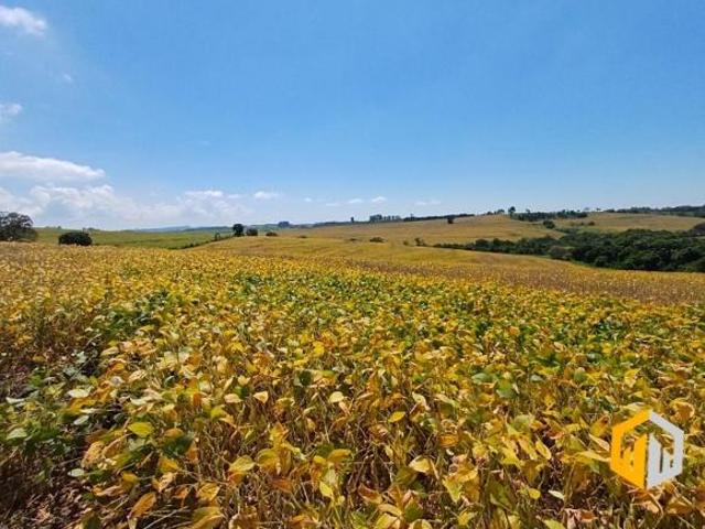 Sítio com 3,0 Alqueires – Serra do Itaqueri | São Pedro – SP