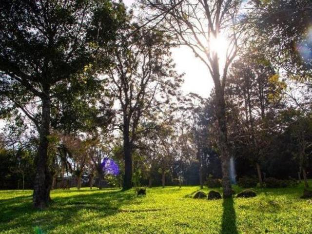 Sítio com 3 casas independentes em Belém Velho