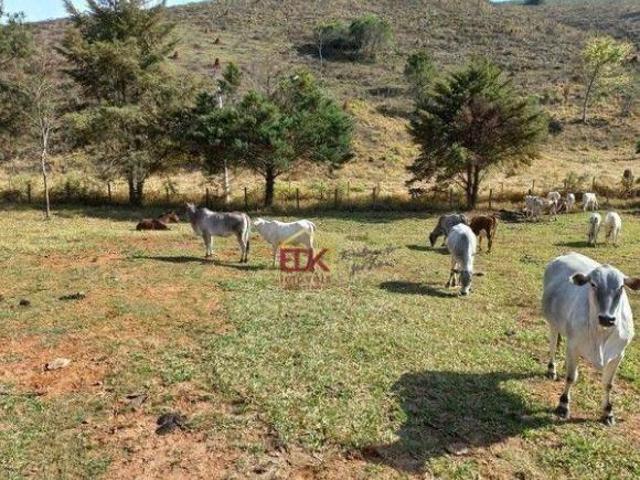 Sítio com 3 dormitórios à venda, 193600 m² por R$ 1.400.000,00 Zona Rural São Luiz do Paraitinga