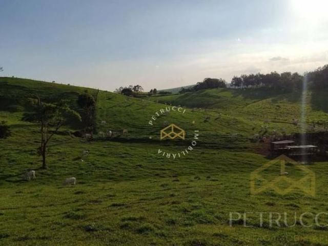 Sítio com 3 dormitórios à venda, 242000 m² por R$ 4.000.000,00 Chácara Primavera Jaguariúna/SP