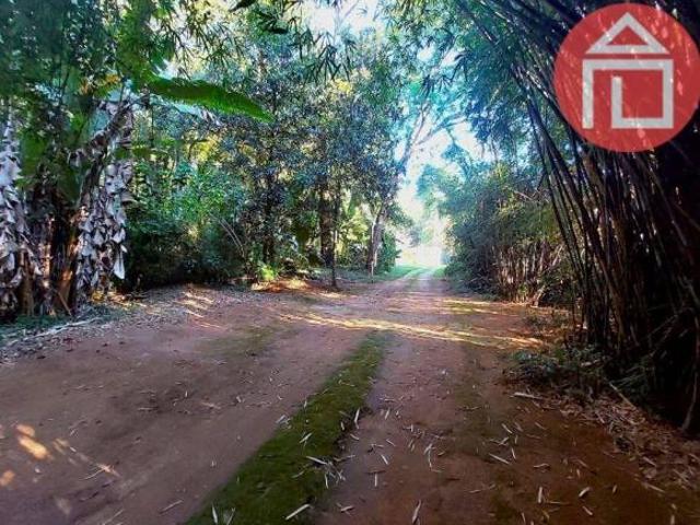Sítio com 3 dormitórios à venda, 25762 m² por R$ 2.000.000,00 Curitibanos Bragança Paulista/SP
