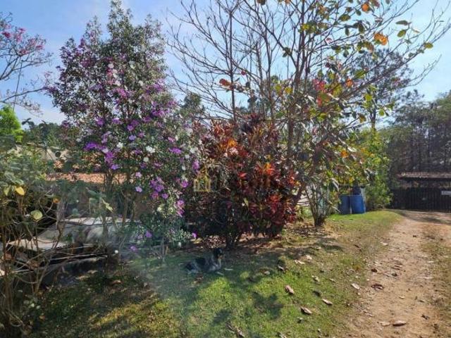 Sítio com 3 dormitórios à venda, 27000 m² por R$ 3.200.000,00 Sítios de Recreio Colina Indaiatub