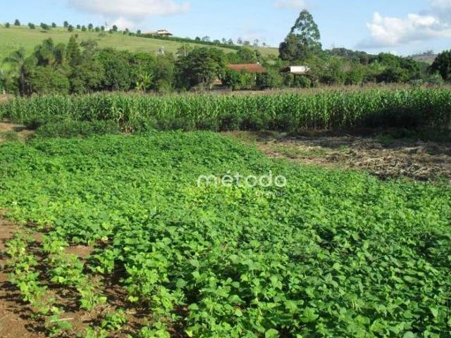 Sítio com 3 dormitórios à venda, 20000 m² por R$ 650.000 Bairro Capoeirinha Guararema/SP