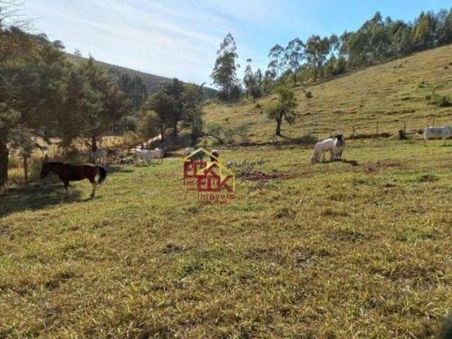 Sítio com 3 dormitórios à venda, 30000 m² por R$ 720.000,00 Rio Abaixo São Luiz do Paraitinga/SP