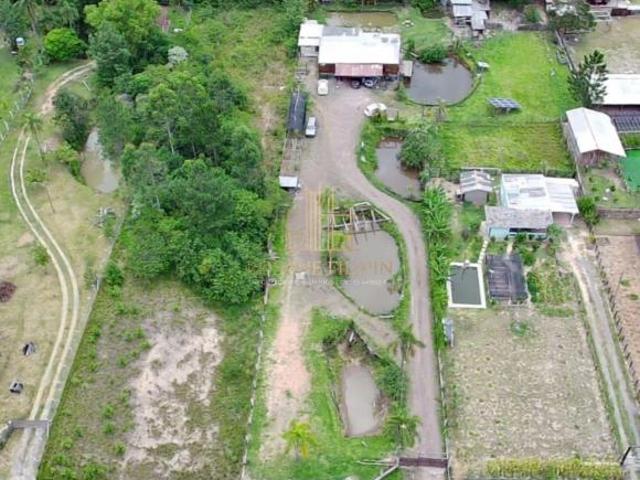 Sítio com 3 dormitórios à venda, 4970 m² por R$ 550.000 Arroio da Bica Nova Hartz/RS