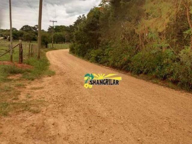 Sítio com 3 dormitórios à venda, 4000 m² por R$ 450.000,00 Cruz de Cedro Quadra/SP