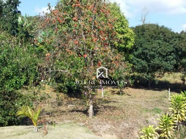 Sítio com 3 dormitórios à venda, 4000 m² por R$ 1.700.000,00 Parque Interlagos São José dos Camp