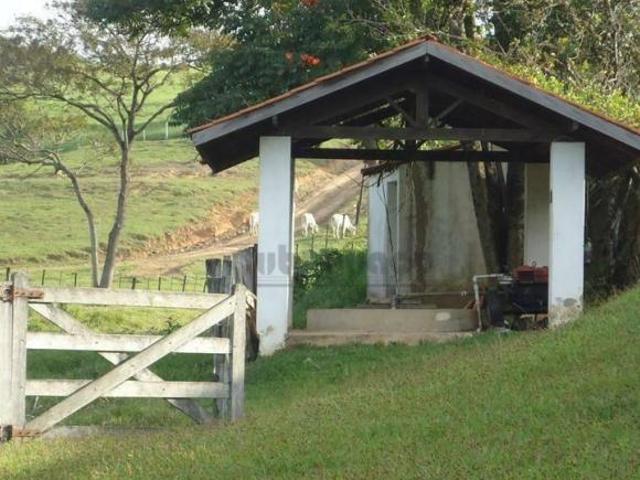 Sítio com 3 dormitórios à venda, 60500 m² por R$ 3.500.000,00 Caiacatinga Porto Feliz/SP