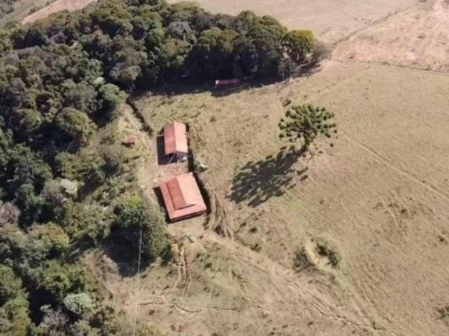 Sítio Com 3 Dormitórios À Venda, 60500 m² Zona Rural Bueno Brandão/mg