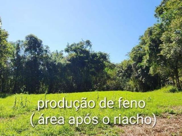 Sítio com 3 dormitórios à venda, 62285 m² por R$ 1.750.000 Guaripocaba Bragança Paulista/SP