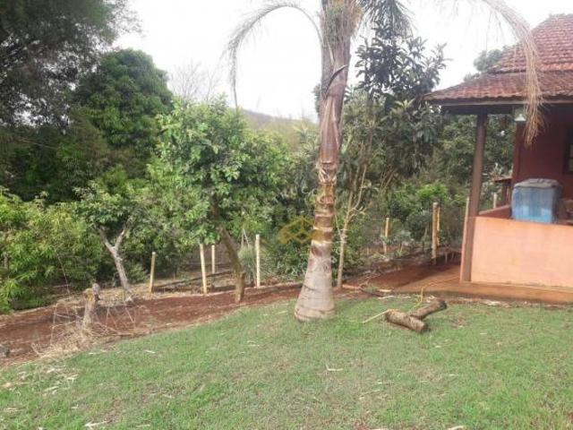 Sítio com 3 dormitórios à venda, 70000 m² Zona Rural São Tomás de Aquino/MG