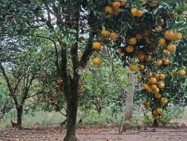 Sítio com 3 ha sendo 2 ha com benfeitorias