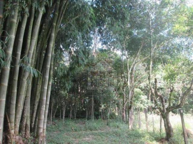 Sítio com 3 quartos à venda no Jardim Santa Tereza