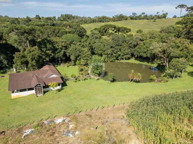 Sítio com 10 Alqueires a 30 Min de Curitiba – Estr