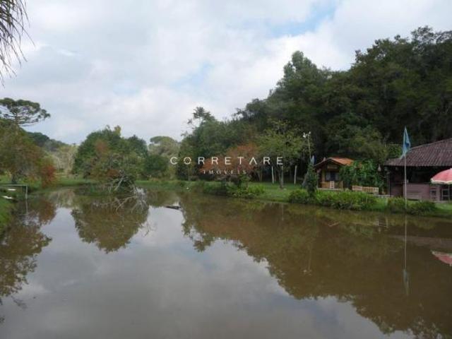 SÍTIO COM 110.000m² com lago, piscina e 4 casas 85 mil área plana ideal para Haras, pasto.