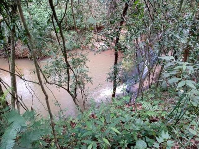 Sítio com 11 mil metros quadrados e pequena cachoeira cod 07