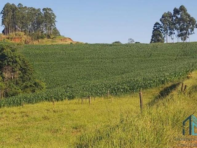 Sítio com 121.000 mil m² a venda, com Infra estrutura, no IRETEMA /Campo Mourão PR