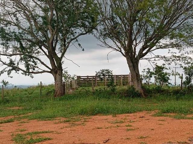 Sítio com 12 Alqueires ótimo para criação de gado. 7 km d Asfalto, 28 km d ANGATUBA, não tem casa