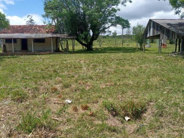 SITIO COM 12 HECTARES EM GUAIBA RS