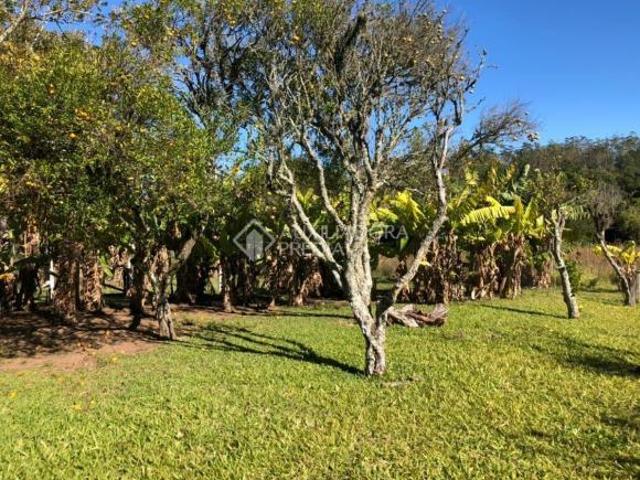 SÍTIO COM 12ha com muito verde