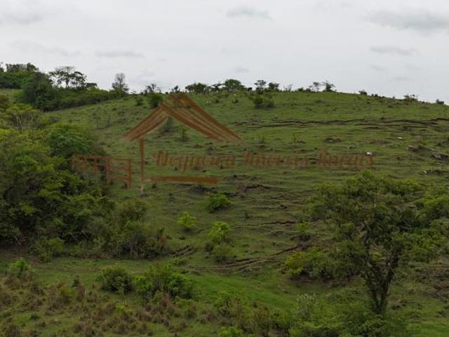 Sitio com 14 alqueires na região de Guareí SP