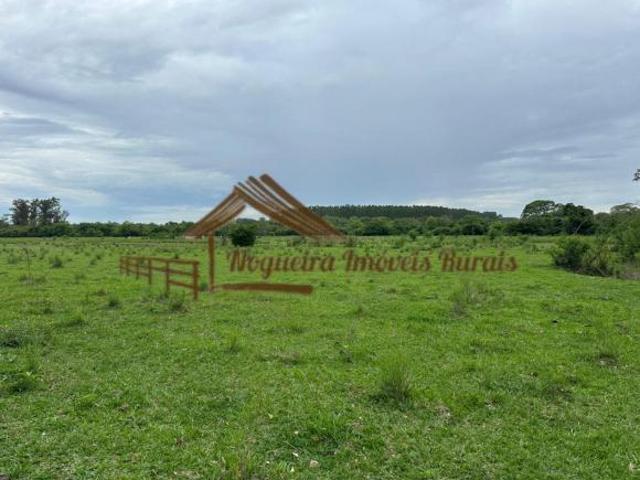 Sitio com 14 alqueires na região de Porangaba/SP