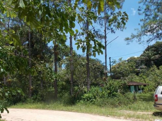 Sítio com 173.000m² Juquiá SP VENDO