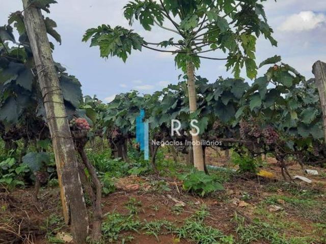 Sítio com 18 dormitórios à venda, 35000 m² por R$ 8.800.000,00 Bom Jardim Jundiaí/SP