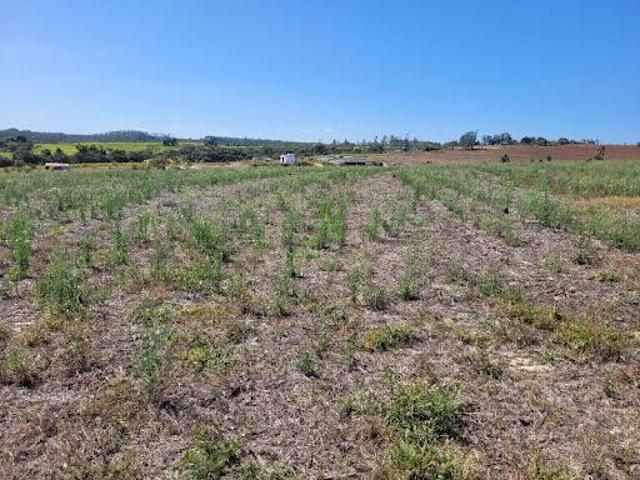 Sítio com 1 dormitório à venda, 20000 m² por R$ 450.000,00 Area Rural Cosmópolis/SP
