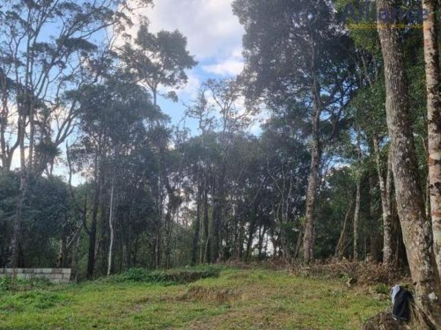 Sítio com 1 dormitório à venda, 22000 m² por R$ 400.000 Penteado Embu Guaçu/SP