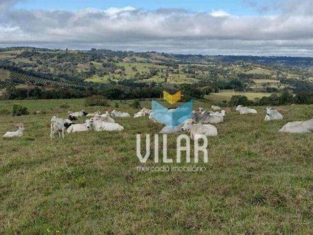 Sítio com 1 dormitório à venda, 484002 m² por R$ 3.180.000,00 Bairro Batalheiras Angatuba/SP