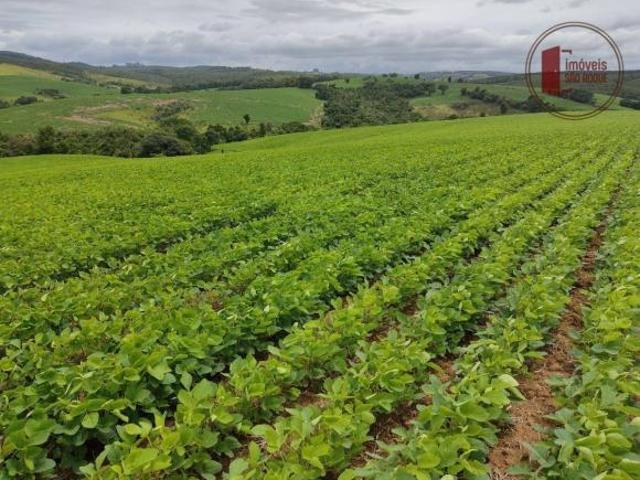 Sitio com 20 alq na Região de Sorocaba
