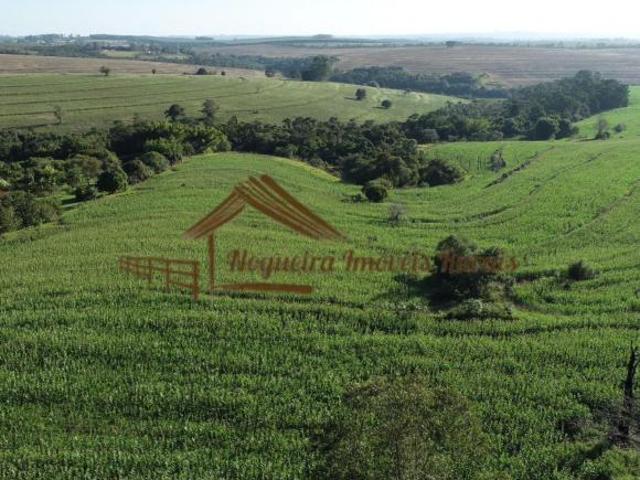Sitio com 22 alqueires na região de Capela do Alto