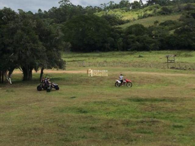 Sítio com 22 hectares na Braquinha