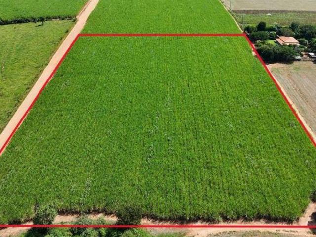Sitio com 25 mil m², plano