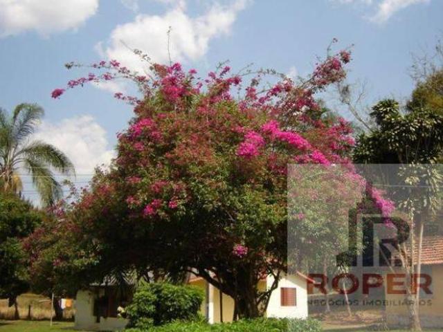 Sitio com 26.000m²/2 Casas/Chále/ Lago à venda em Atibaia