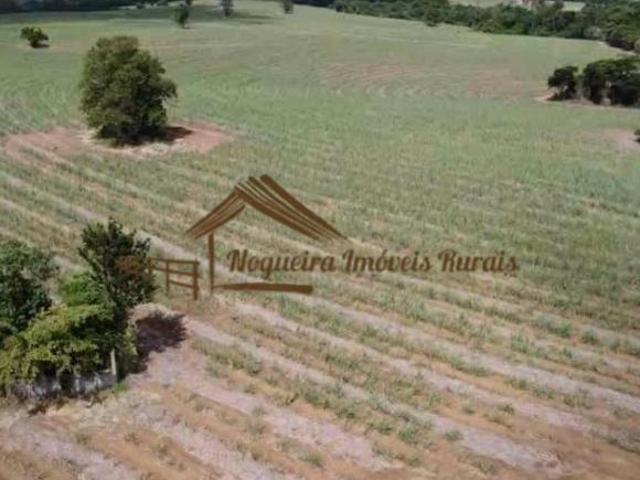 Sítio com 26,5 Alqueires, com excelente casa sede, ótimo para agricultura, em Itapetininga SP
